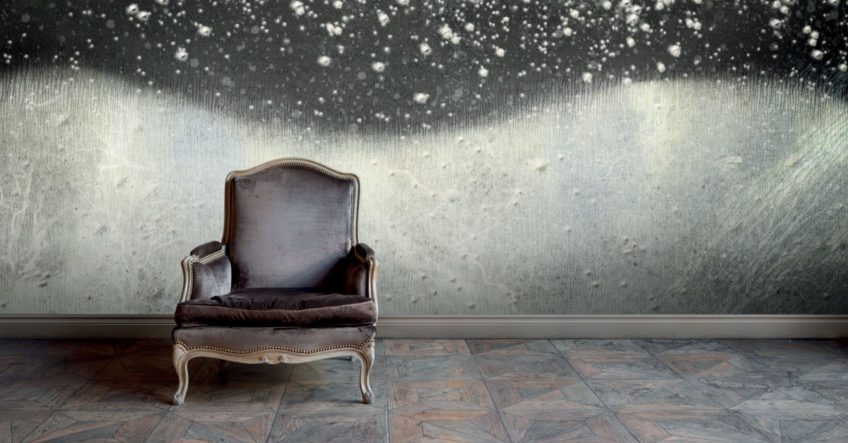 Fuji: Texam Home Wall Covering