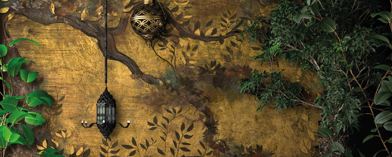 Texam Home: Who We Are